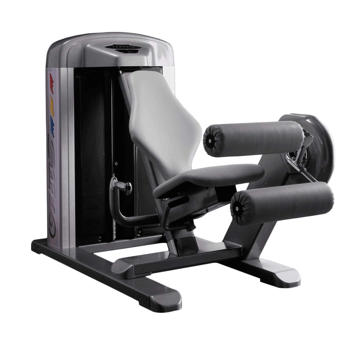 Machine Leg Curl Assis WP10 pour salles de fitness - Ortus Fitness